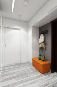 Holuri moderne: + 63 poze si idei practice pentru un hol modern