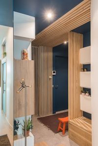 Holuri moderne: + 63 poze si idei practice pentru un hol modern