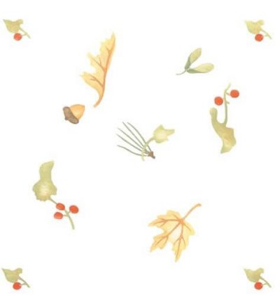 Sabloane decorative: idei, imagini si sfaturi pentru amenajari | Homelux