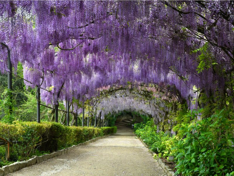 Gradini Frumoase: TOP IDEI WOW de la Homelux